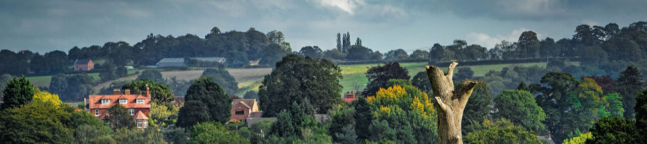 About Croots Farm Shop | Family-Run Derbyshire Farm Shop